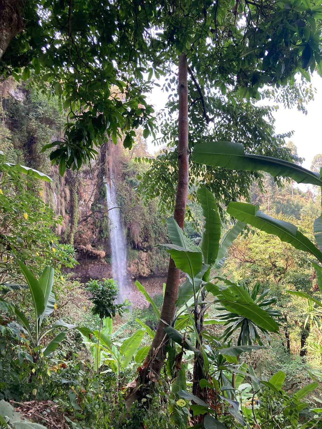 7 Beautiful Uganda Waterfalls to Visit - EA Travel Hub